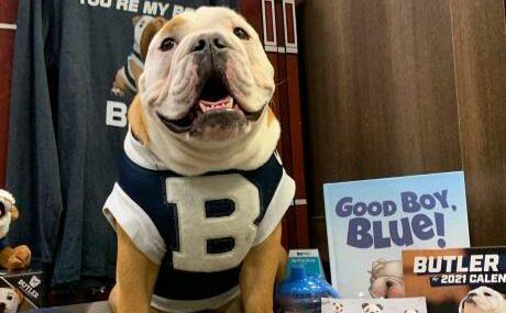 Butler Blue | The Official Mascot of Butler University