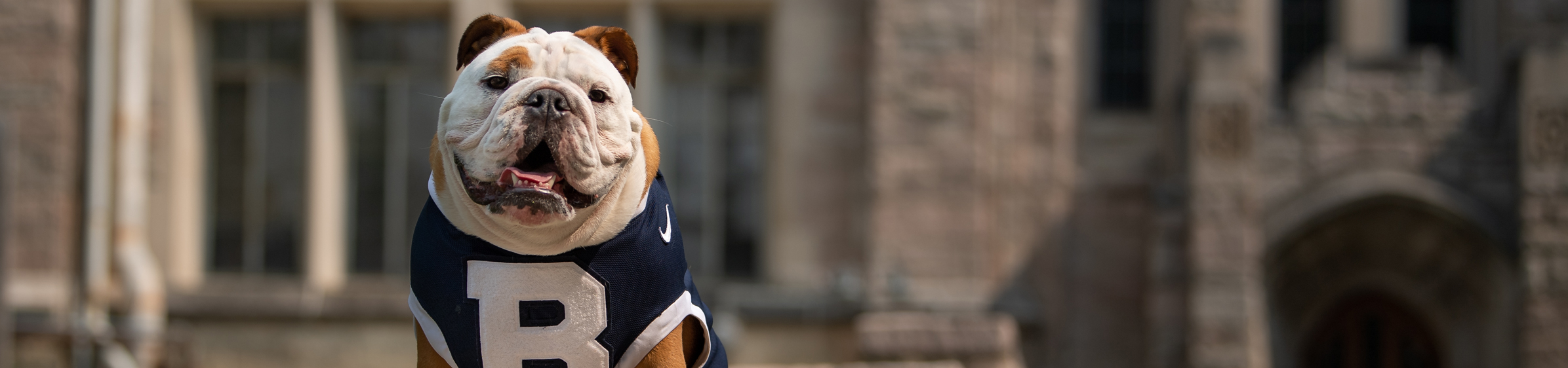 Butler Blue | The Official Mascot of Butler University