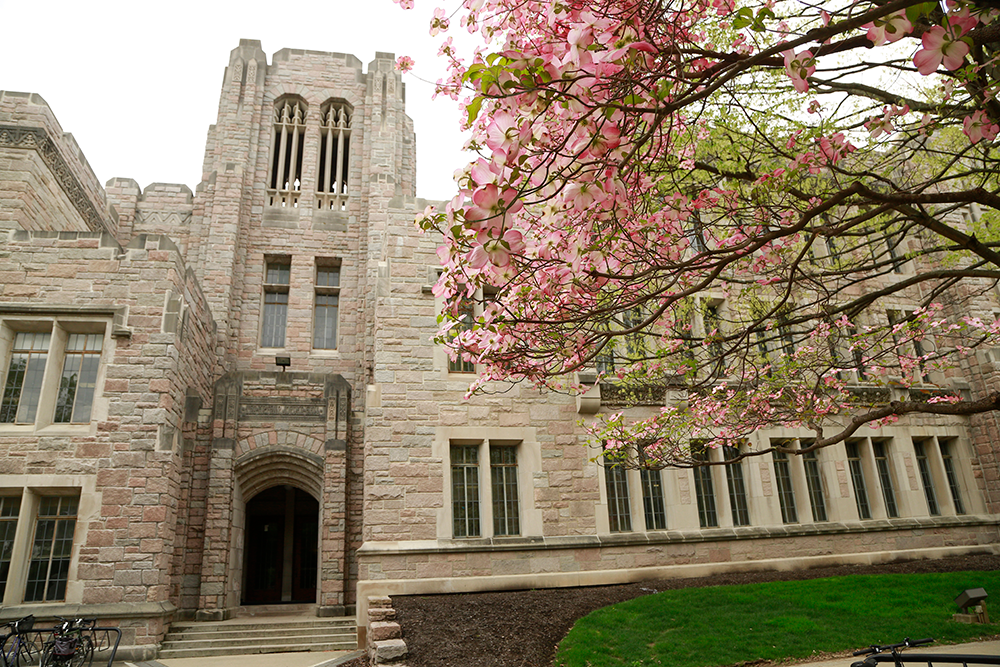 Exploratory Studies | Butler University