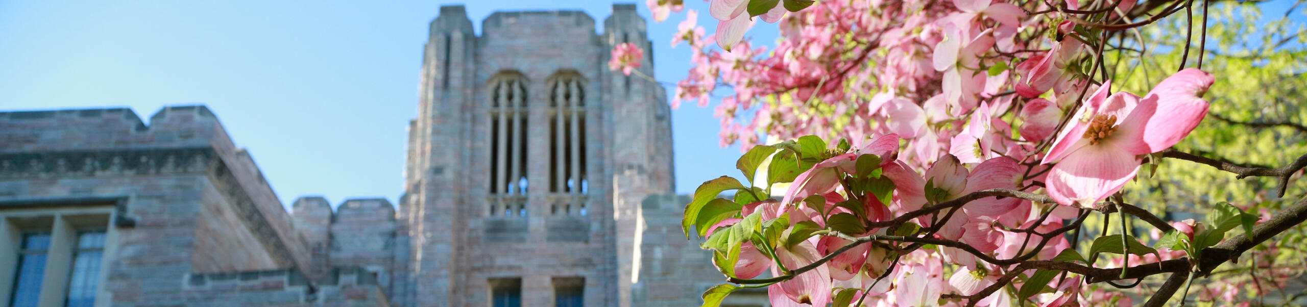 Transfer Student Visits | Butler University