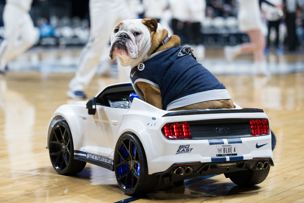 Alumni | Butler University Alumni | Stay Connected & Benefits